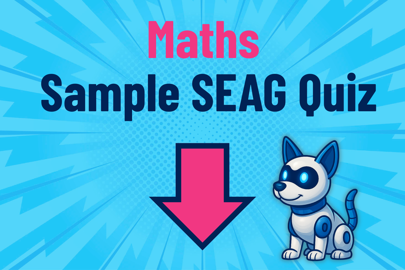SEAG Maths Sample Course - Brainio Academy